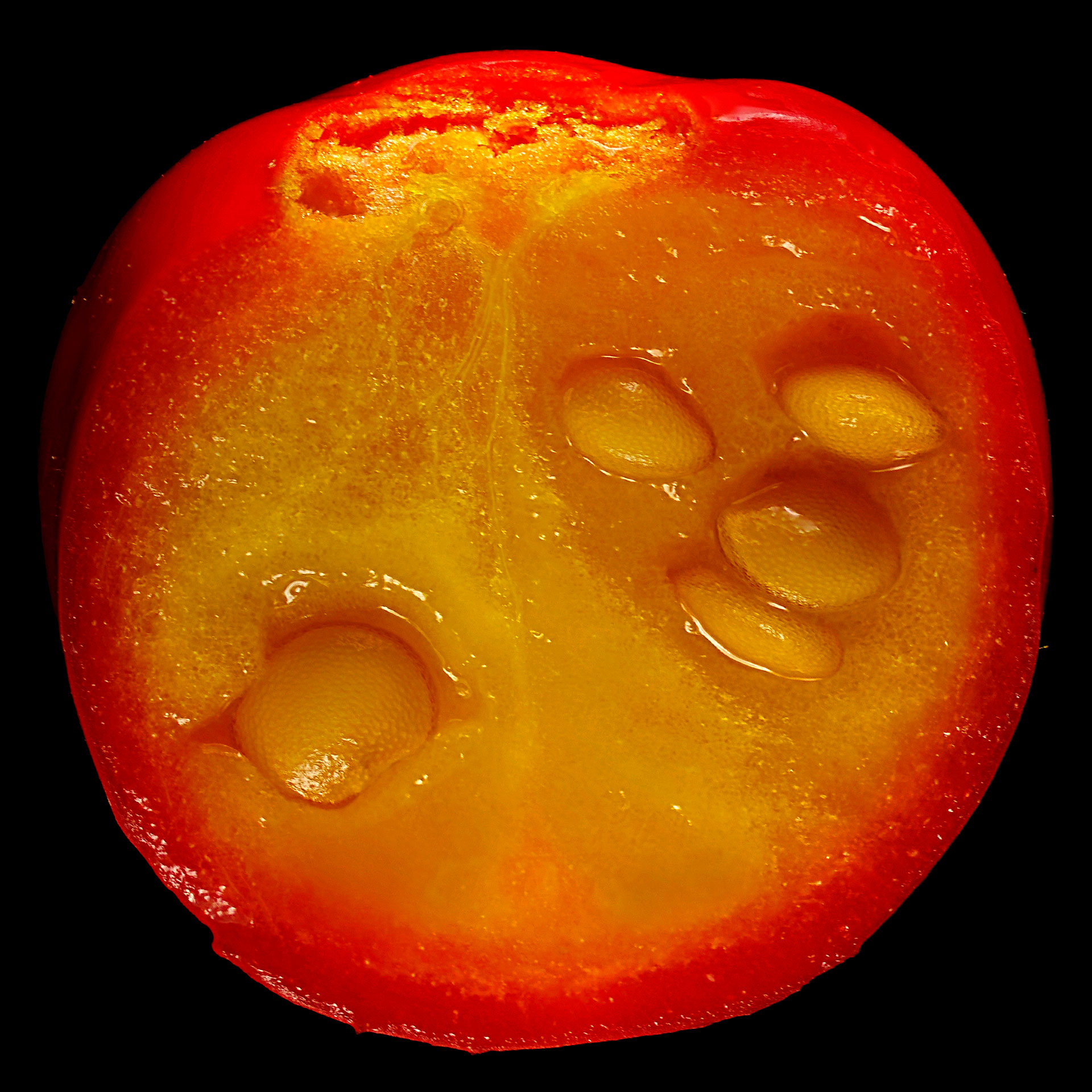 Die Litschi-Tomate: Solanum sisymbriifolium | Flora obscura